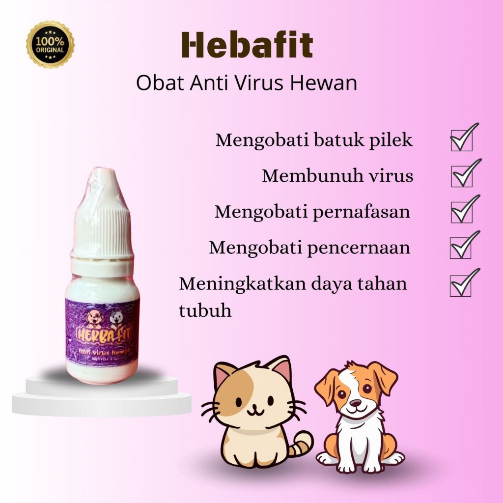 Jual Obat Flu Berat Batuk Pilek Kucing Golden Terbaik Anabul Paw Flu ...