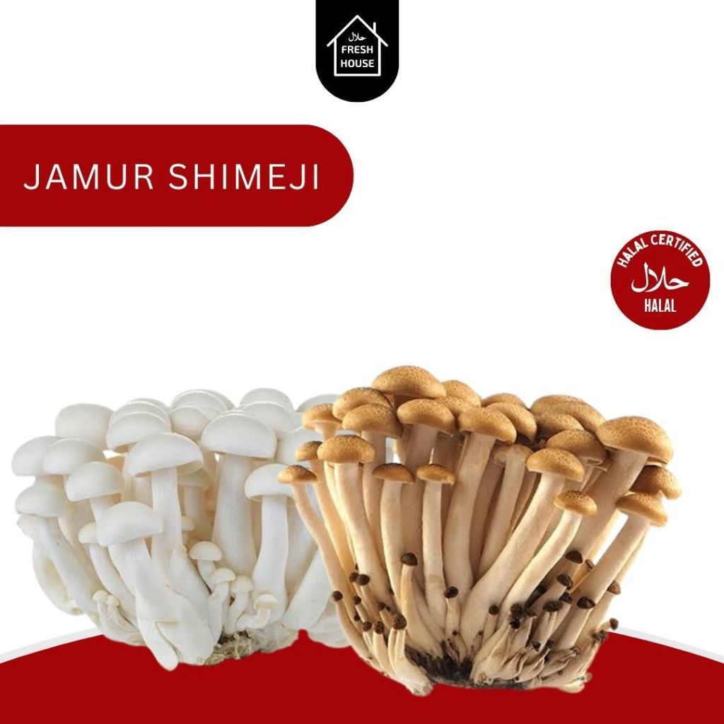 Jual JAMUR SHIMEJI COKLAT / JAMUR SHIMEJI PUTIH | Shopee Indonesia