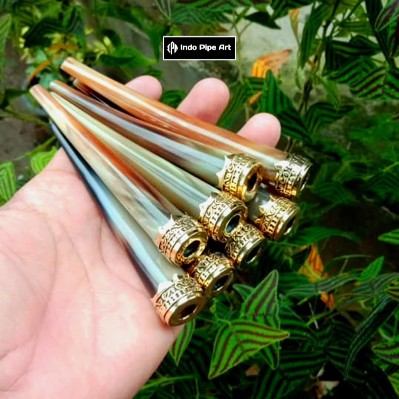 Jual PADUDAN ONCE TANDUK SAPI BULE | Shopee Indonesia