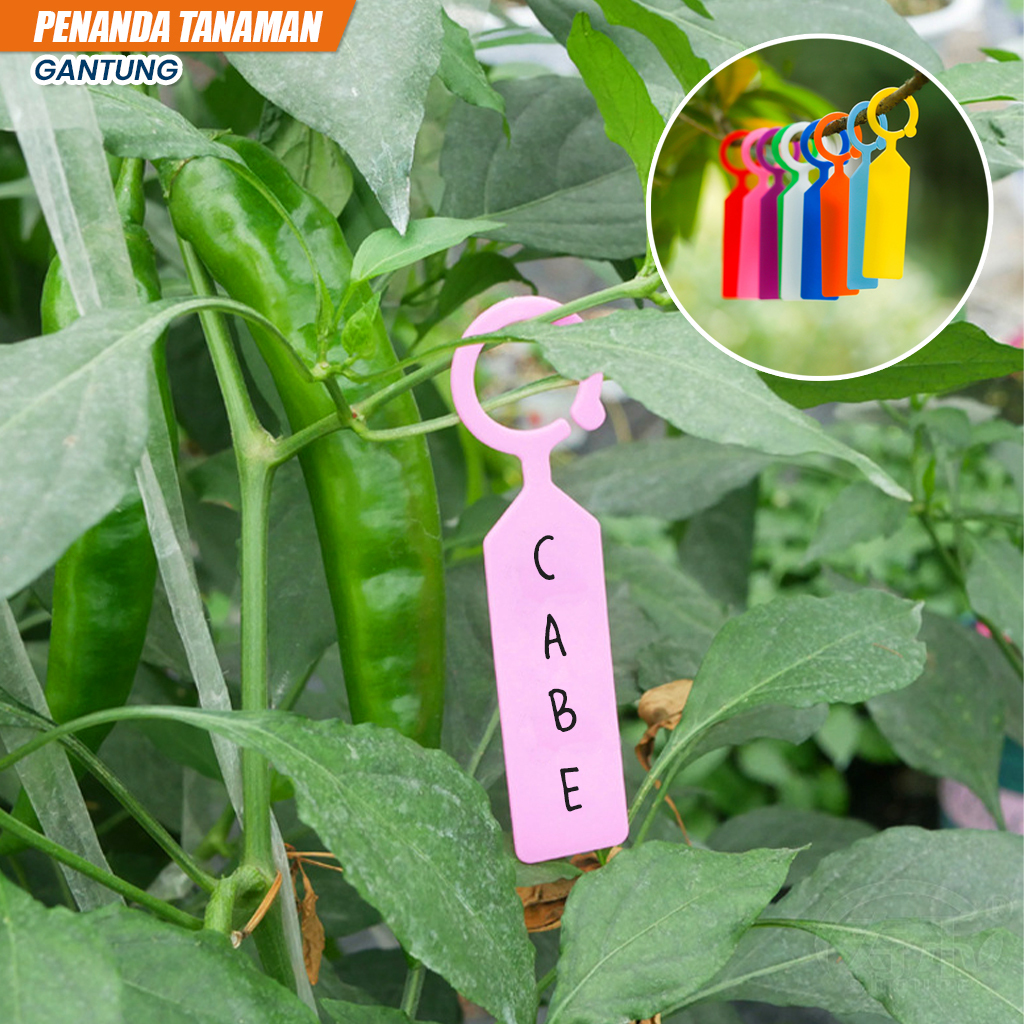 Jual Plant Label Name Tag Label Penanda Tanaman Hanging Ring / Label Tanaman Waterproof Gantung ...