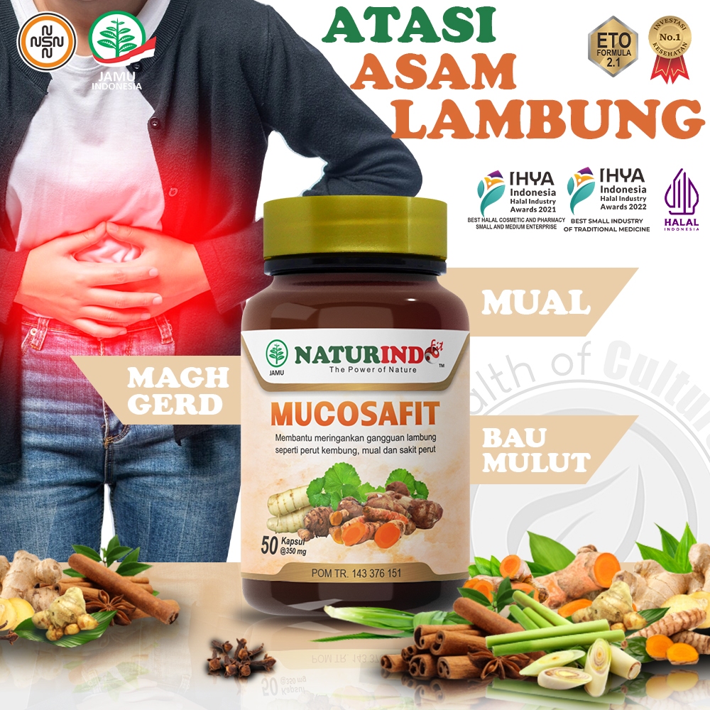 Jual Obat Herbal Asam Lambung Maag Magh Mual Gerd Sakit Radang Lambung ...