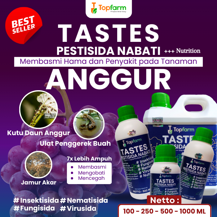 Jual Obat Semprot Hama Pohon Anggur / Obat Hama Daun Anggur Kuning ...
