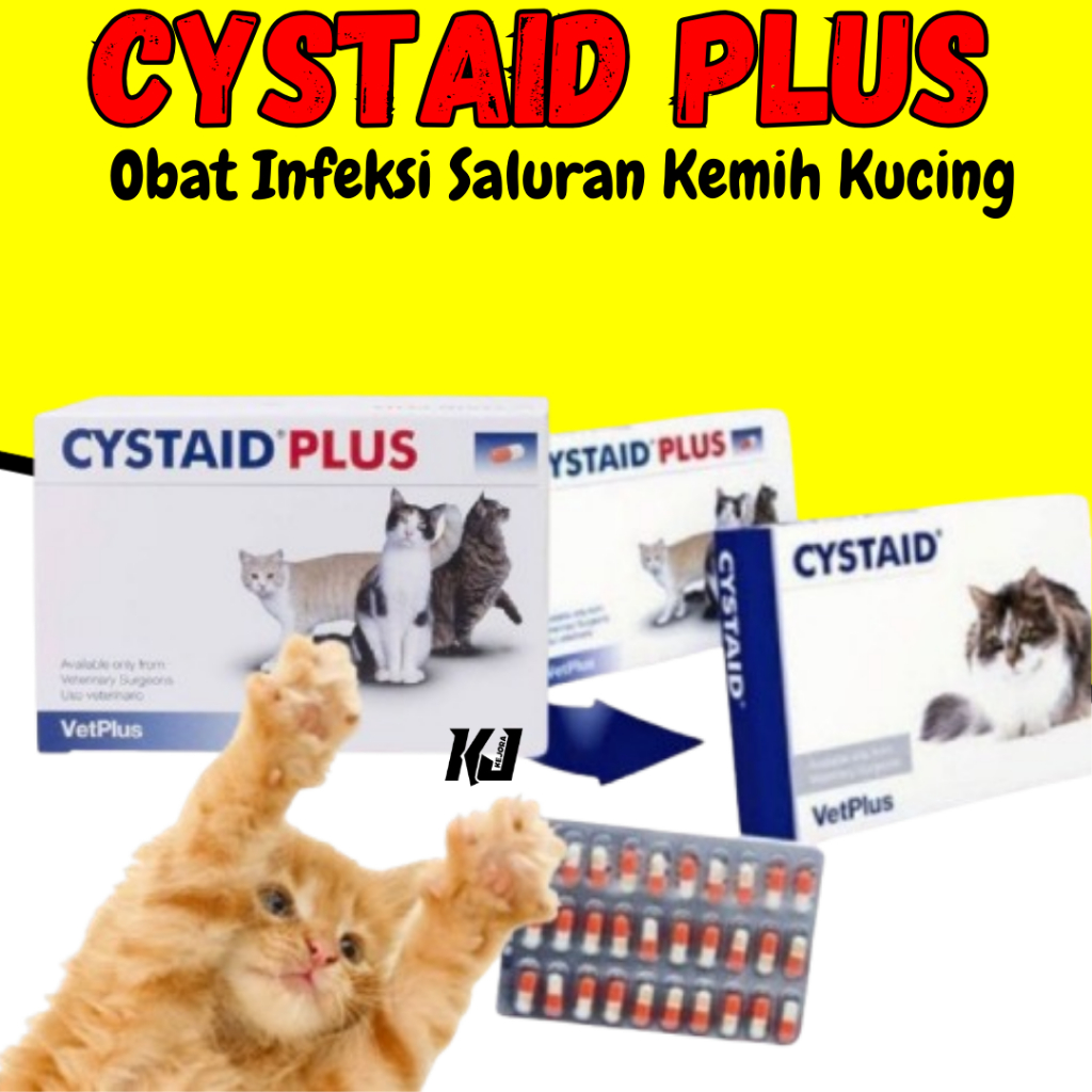 Jual Cystaid Plus Obat Infeksi Saluran Kemih Kucing Obat FLUTD Obat ...