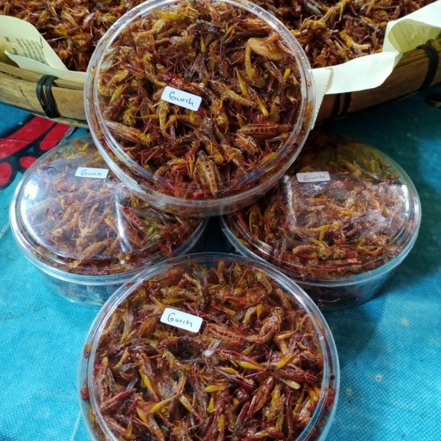 Jual BELALANG GORENG UTIS PADI PEDAS GURIH FULL 1 TOPES | Shopee Indonesia