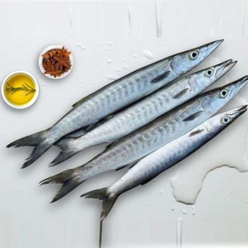 Jual Frozen ikan Baracuda sudah dipotong 1/2 kg | Shopee Indonesia