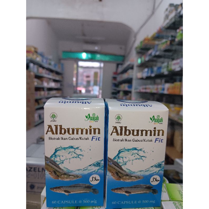 Jual Ekstrak Ikan Gabus 60 kapsul Albumin Fit | Shopee Indonesia