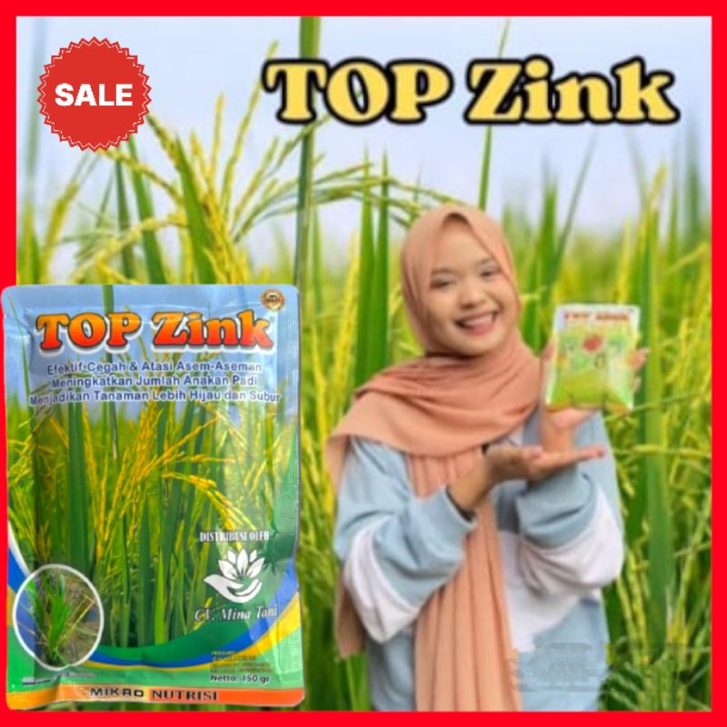 Jual 100% ORI Pupuk TOP ZINK 150gr || Perbanyak Anakan Padi & Mengobati ...
