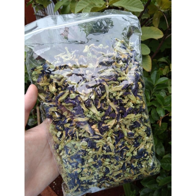 Jual TEH BUNGA TELANGG (TEH BIRU) | Shopee Indonesia