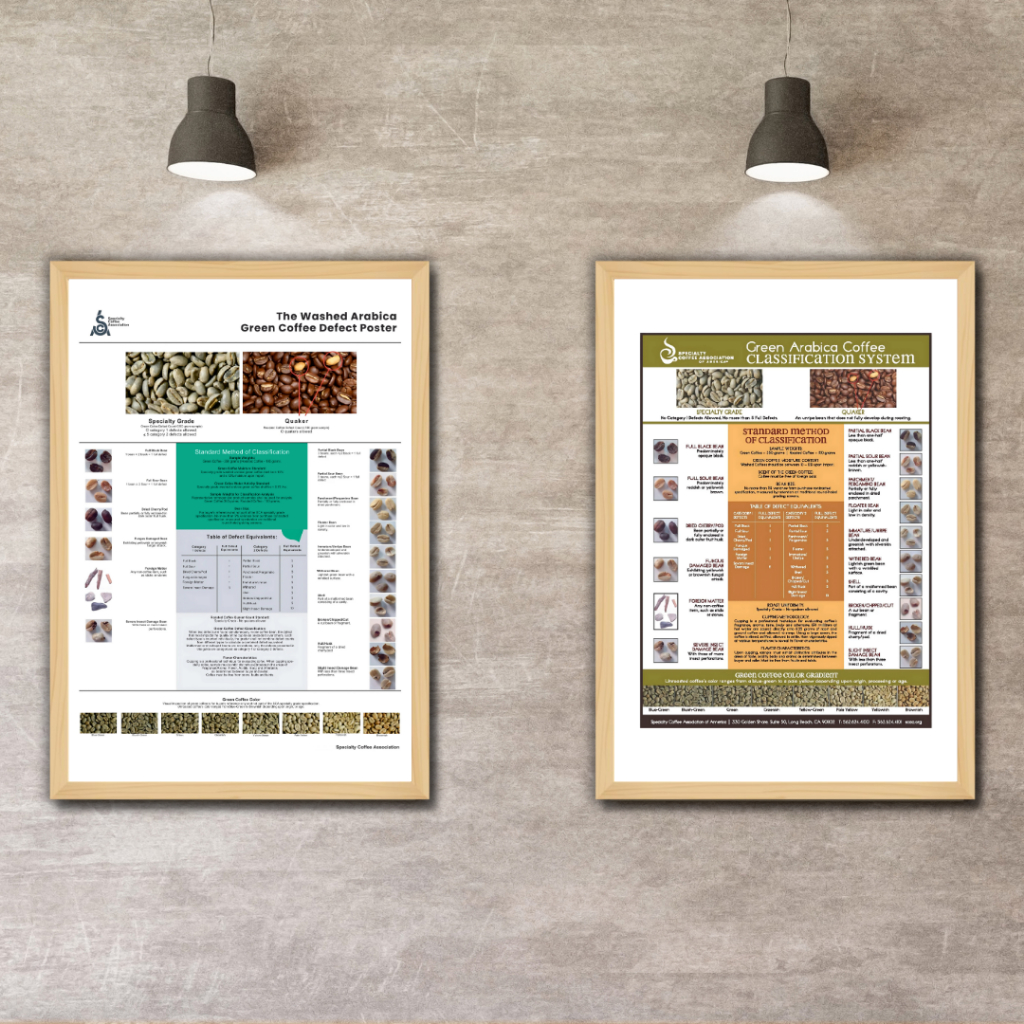 Jual Poster Kopi Green Bean Coffee Defect dan Cupping Coffee Character ...