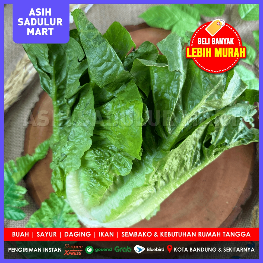 Jual Selada Romaine 500g Sayur Segar Bandung | Sayuran Asih Sadulur ...