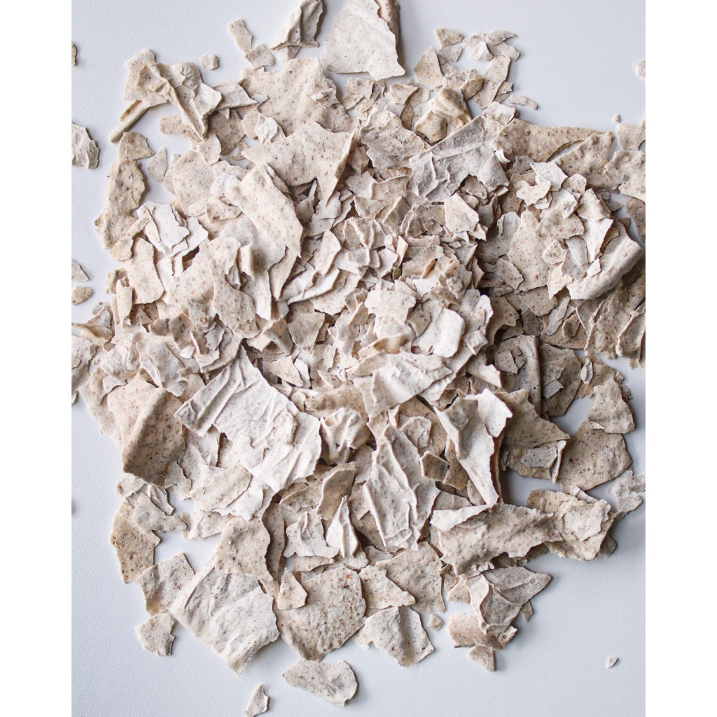 Jual Sourdough starter kering 100g dry Sourdough Starter ragi alami dry ...