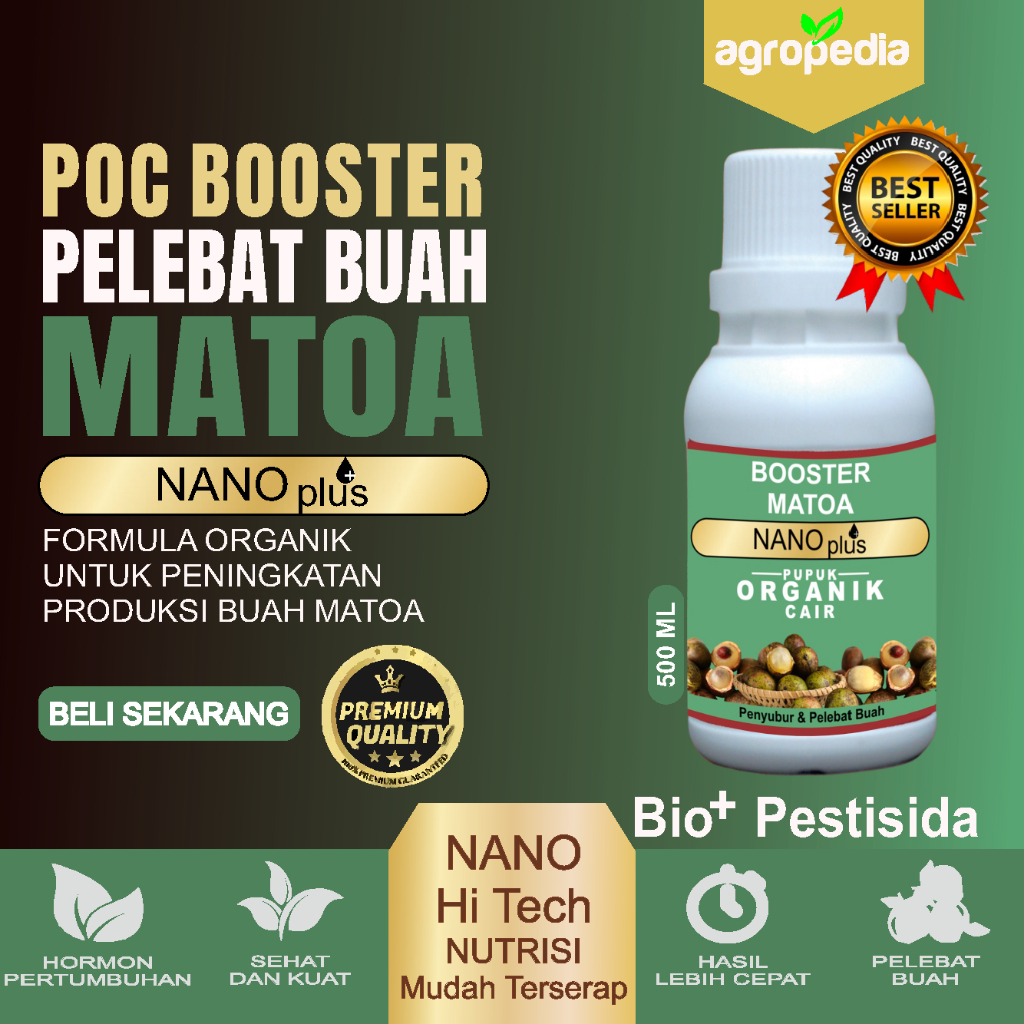 Jual NUTRISI BOOSTER Pupuk Matoa Agar Cepat Berbuah, Super Pelebat Buah Matoa, Pupuk Perangsang ...
