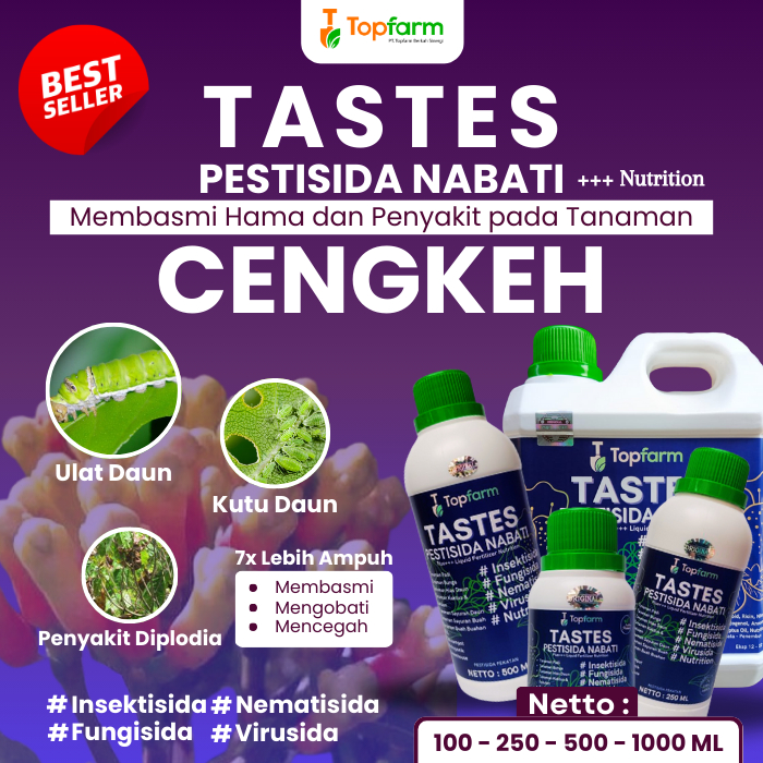 Jual Obat Lumut Pada Batang Cengke / Obat Hama Pohon Cengkeh / Obat ...
