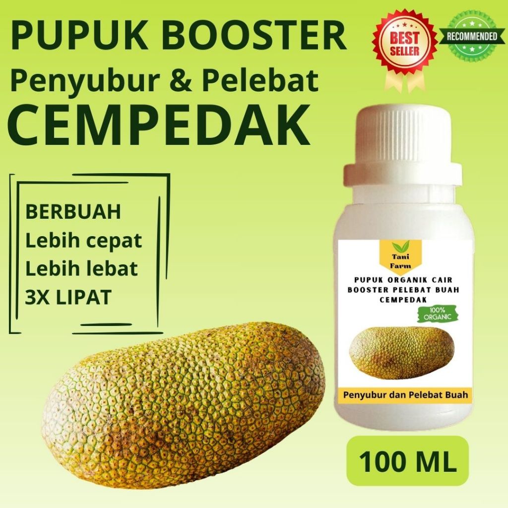 Jual RTF Pupuk Organik Cair Pupuk Cempedak 100 ML / Pupuk Pelebat Cempedak / Pupuk Booster ...