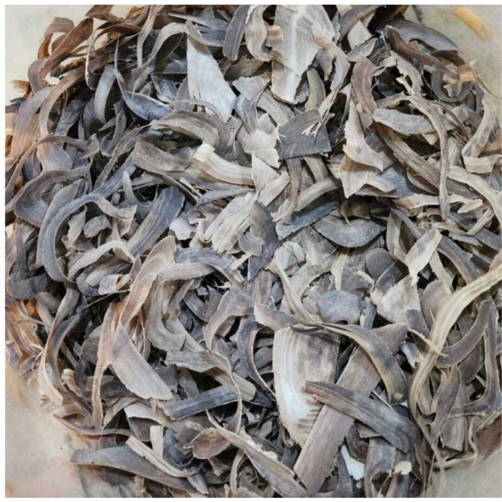 Jual Shui Niu Jiao / Xi Jiao Si - Water Buffalo Horn Cornu Bubali ...