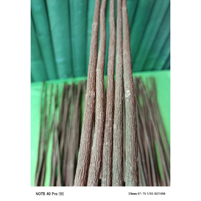 Jual TANGKRINGAN ASEM JAWA KONIN SOGON C IJO TANGKRINGAN ASEM JAWA ...