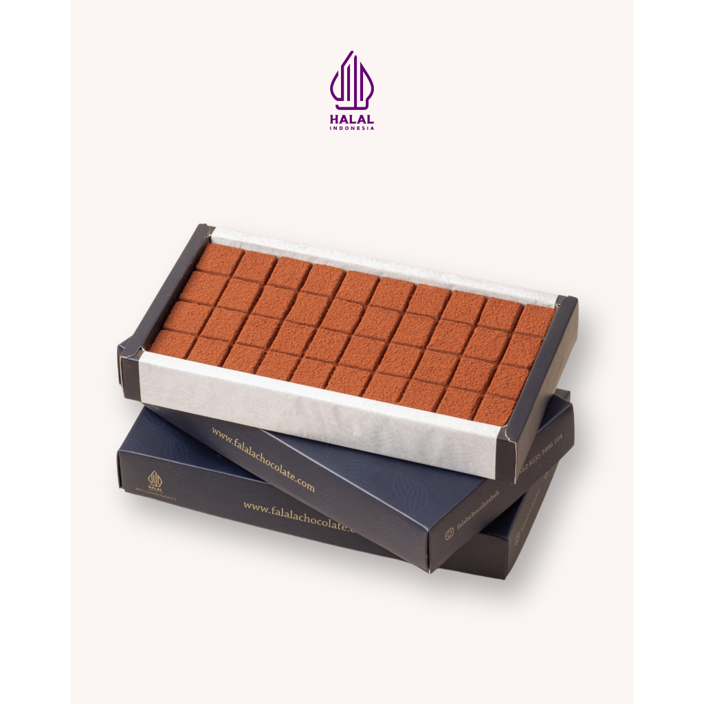 Jual Falala Chocolate Bali - Oleh Oleh Coklat khas Bali Halal Large Box ...