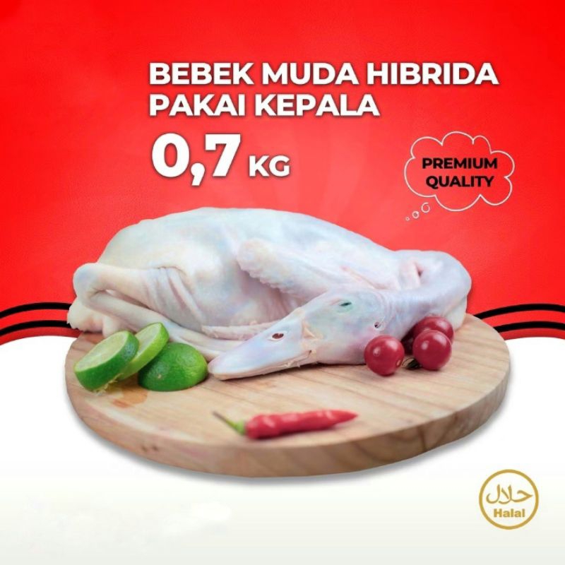 Jual DAGING BEBEK HIBRIDA 0,7 KG PAKAI KEPALA KAKI FROZEN | Shopee ...