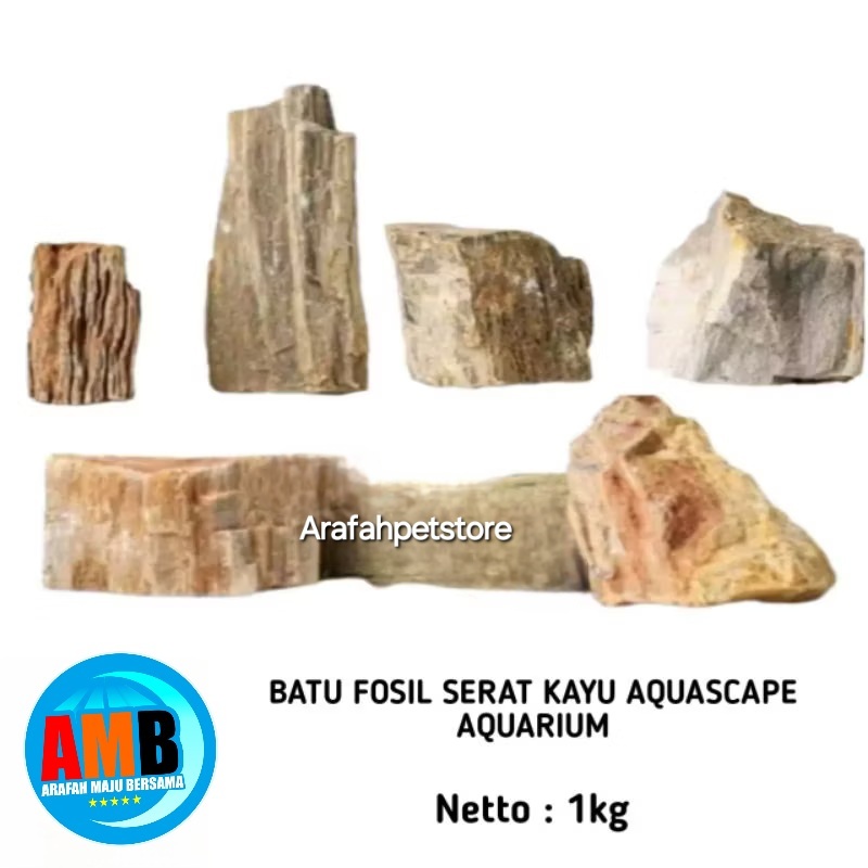 Jual Batu fosil serat kayu aquascape aquarium / batu fosil kayu ...