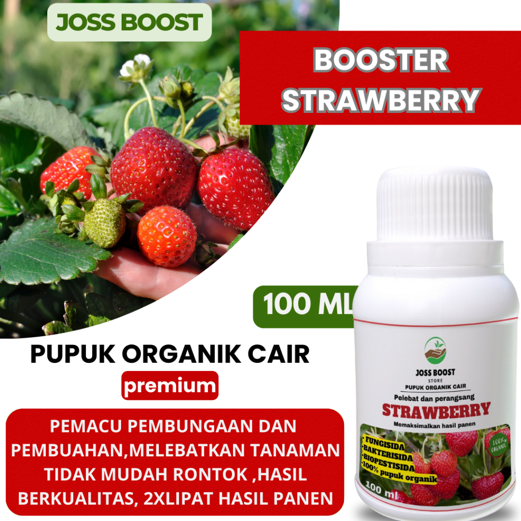 Jual pupuk organik cair tanaman buah strawberry, booster strawberry melebatkan dan memaksimalkan ...