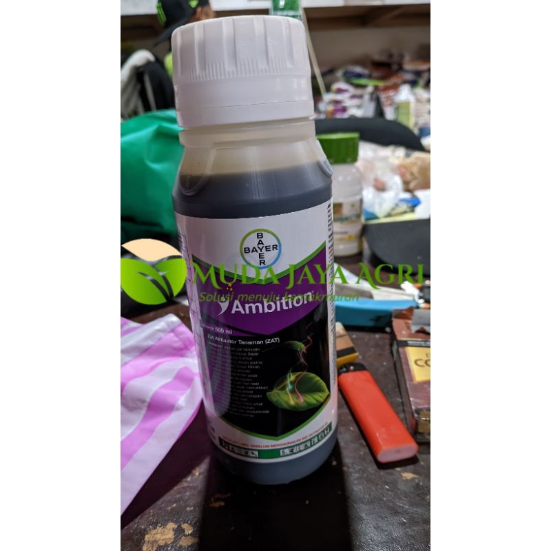 Jual AMBITION 500 ML | Shopee Indonesia