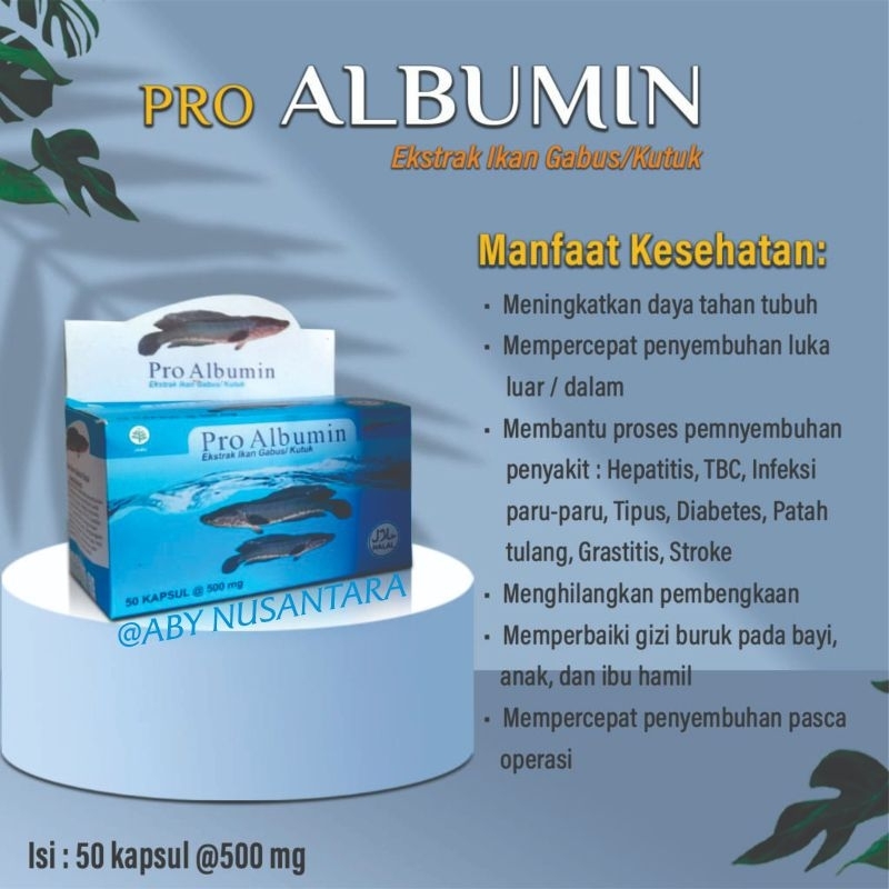 Jual Pro Albumin Extrack 50 Kapsul @500mg Kapsul Èkstrak Ikan Gabus/Kutuk | Shopee Indonesia