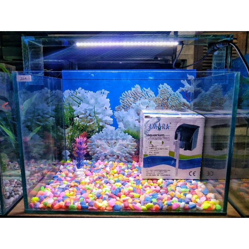 Jual akuarium full set 30x20x20 | Shopee Indonesia