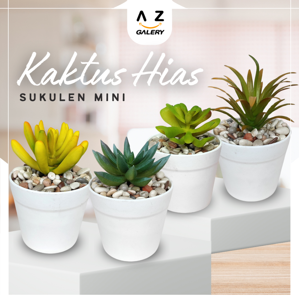 Jual Bunga Hias Mini Kaktus Sukulen Pajangan Aesthetic Dekorasi Rumah ...