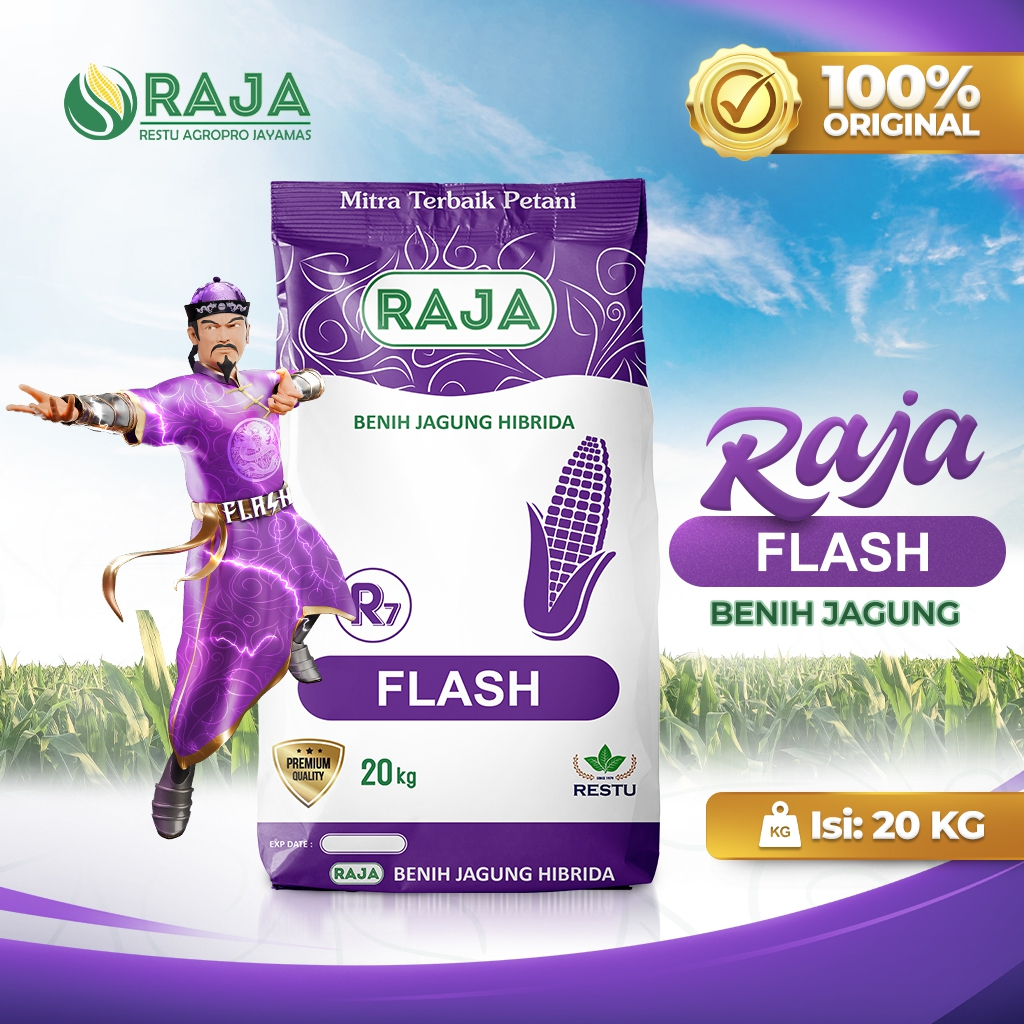 Jual Benih Jagung Hibrida RAJA R7 Flash - 20kg Sack/Karung | Shopee ...