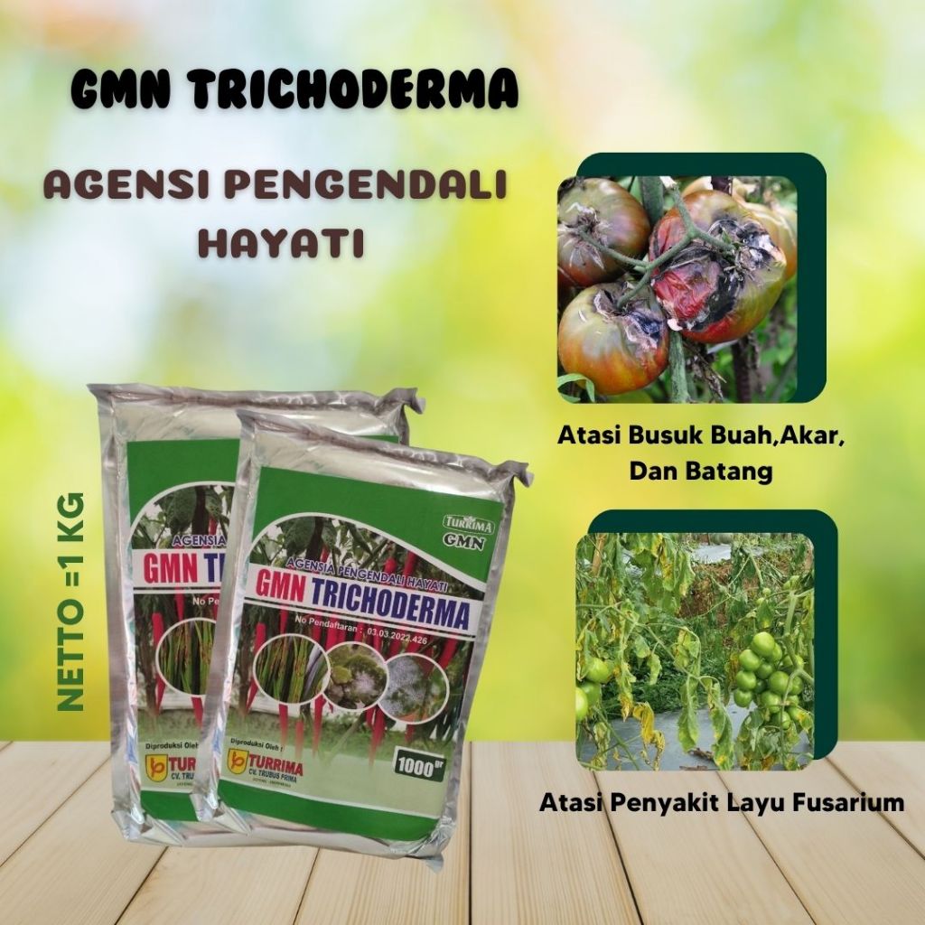 Jual Pupuk TRICODERMA 1 KG, READY, Obat Bercak Daun Pada Cabe ...