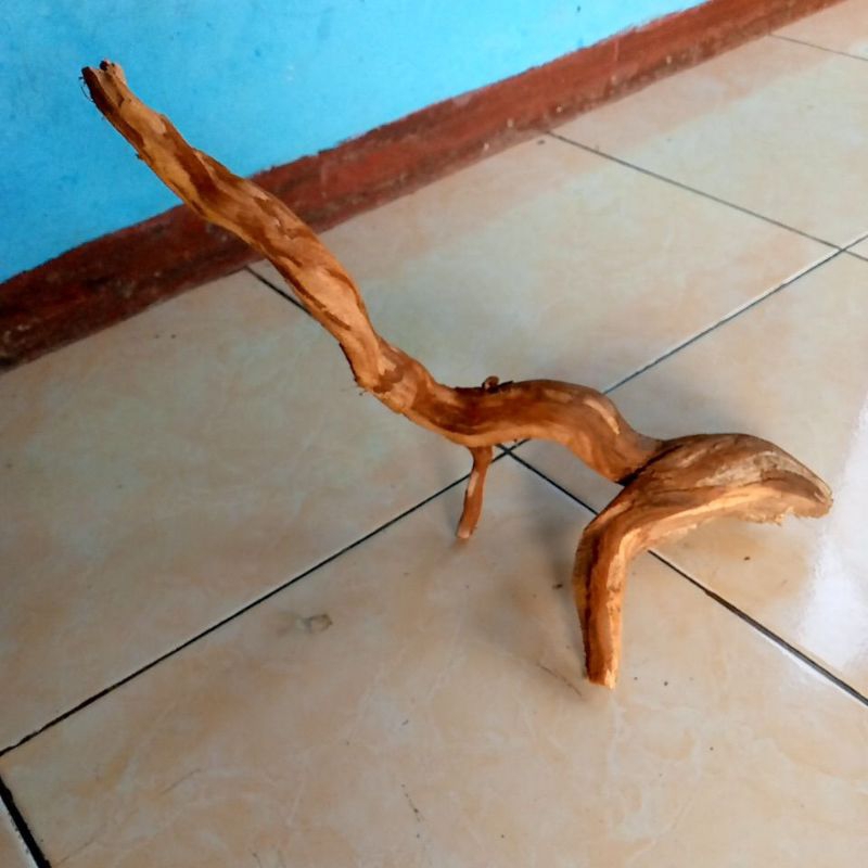 Jual akar kayu stigi darat berkarakter alami | Shopee Indonesia