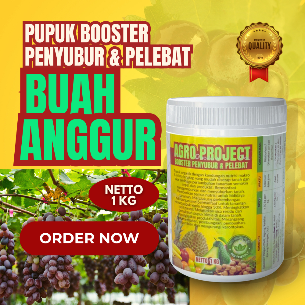 Jual Pupuk Penyubur & Pelebat Buah Anggur Maksimalkan Pertumbuhan dan Hasil Panen Tanaman Anggur ...