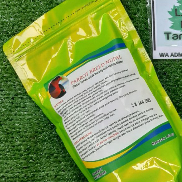 Jual PB NUPAL PARROT BREED PAKAN HARIAN BURUNG JENIS NURI PALTEM NURI ...