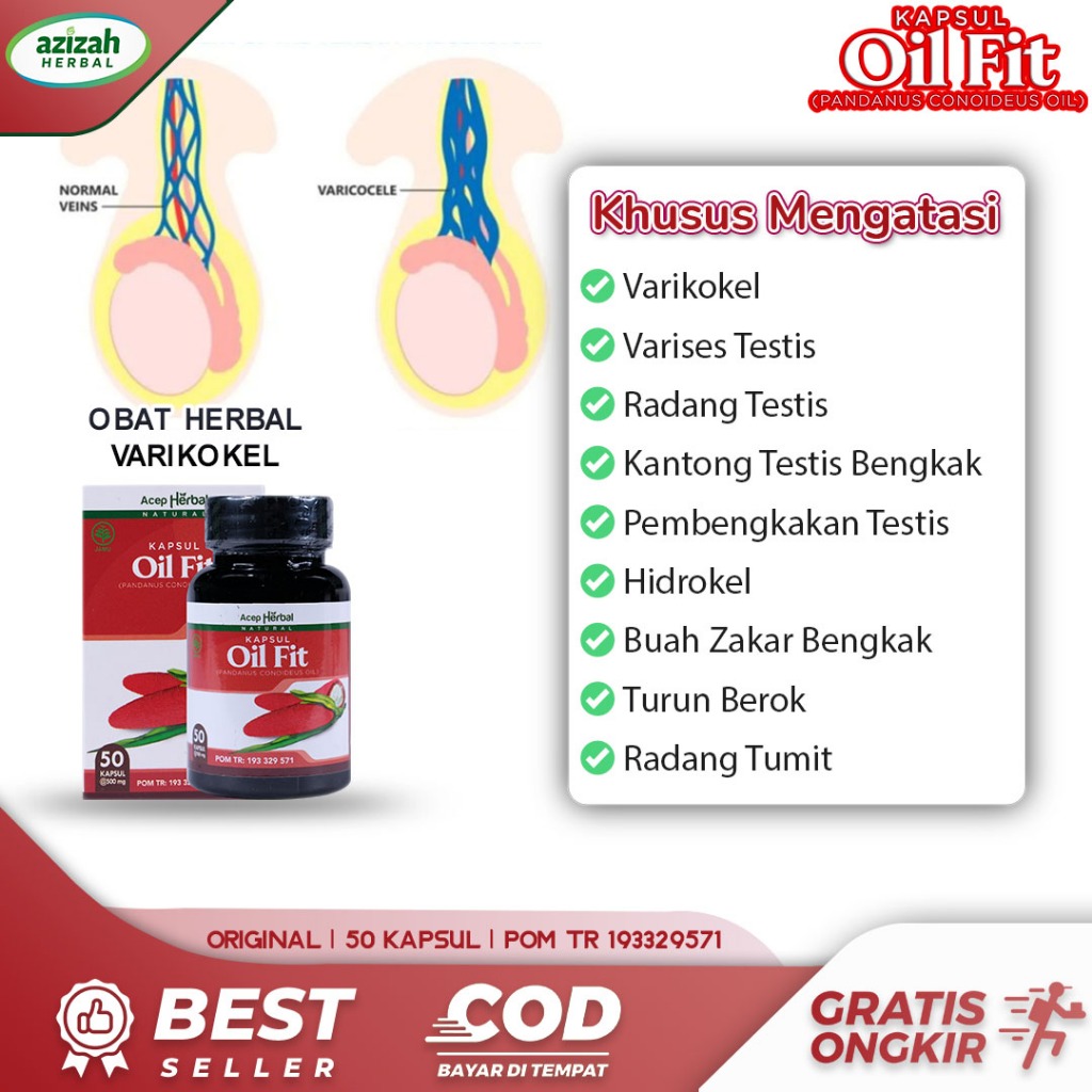Jual Obat Varikokel Varises Buah Zakar Bengkak Muncul Urat Kantong ...