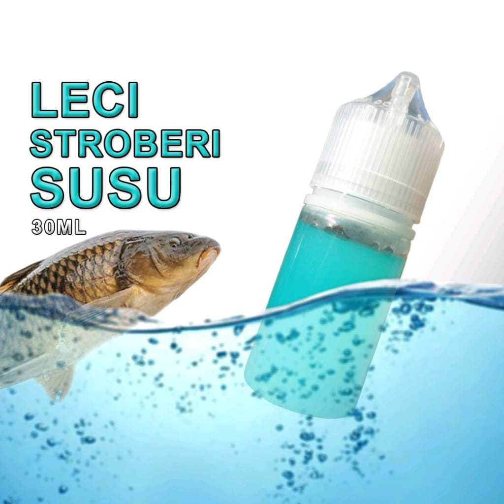 Jual Essen Oplosan Ikan Mas Leci Stroberi Susu 30ML Terbaru Paling ...