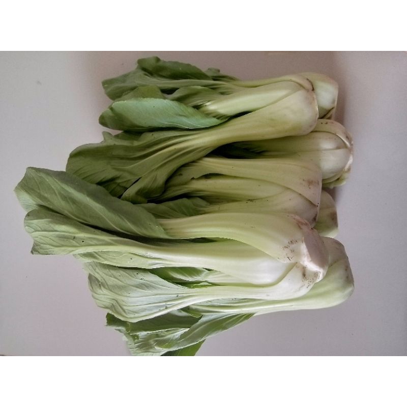 Jual sayur pakcoy segar 500gr | Shopee Indonesia