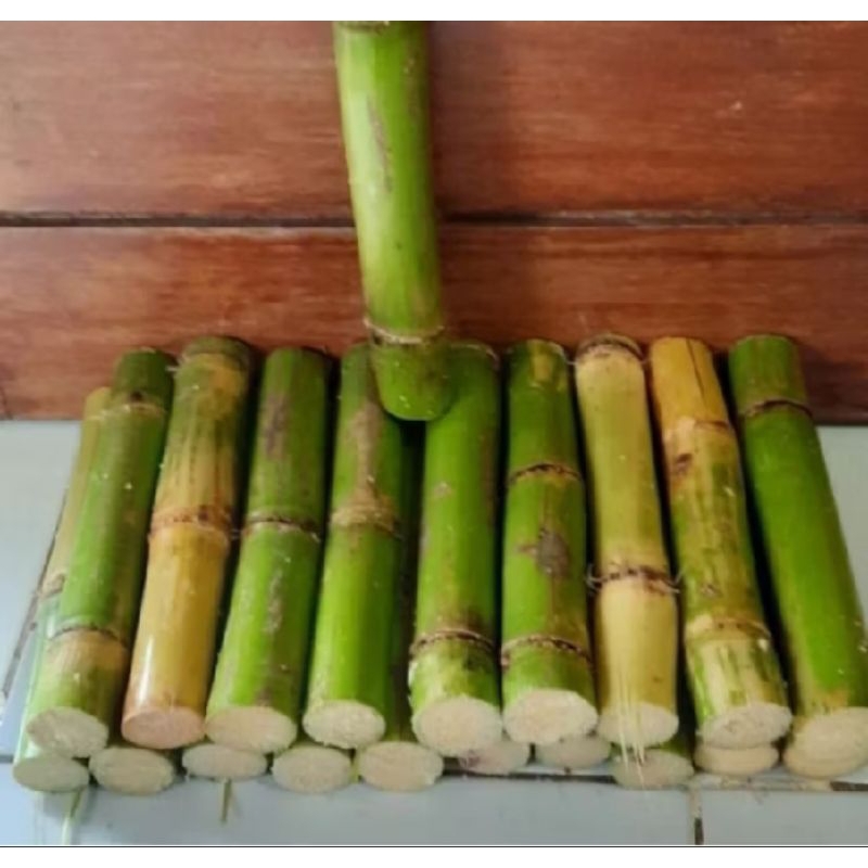 Jual Batang tebu hijau segar per 1kg | Shopee Indonesia