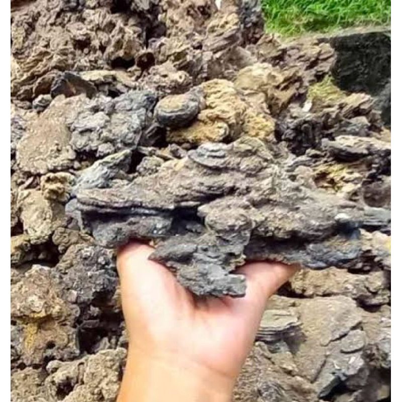 Jual batu besi aquascape | Shopee Indonesia
