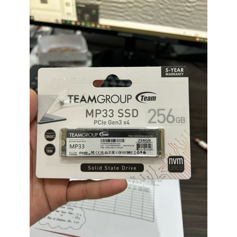 Jual Teamgroup MP33 SSD PCIe Gen 3x4 256 GB | Shopee Indonesia