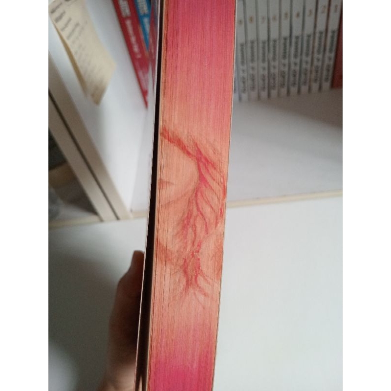 Jual Novel Firelight preloved edge paint | Shopee Indonesia