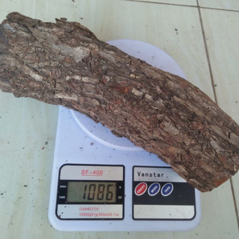 Jual Bahan kerajinan kayu stigi asli berat 1 kg | Shopee Indonesia