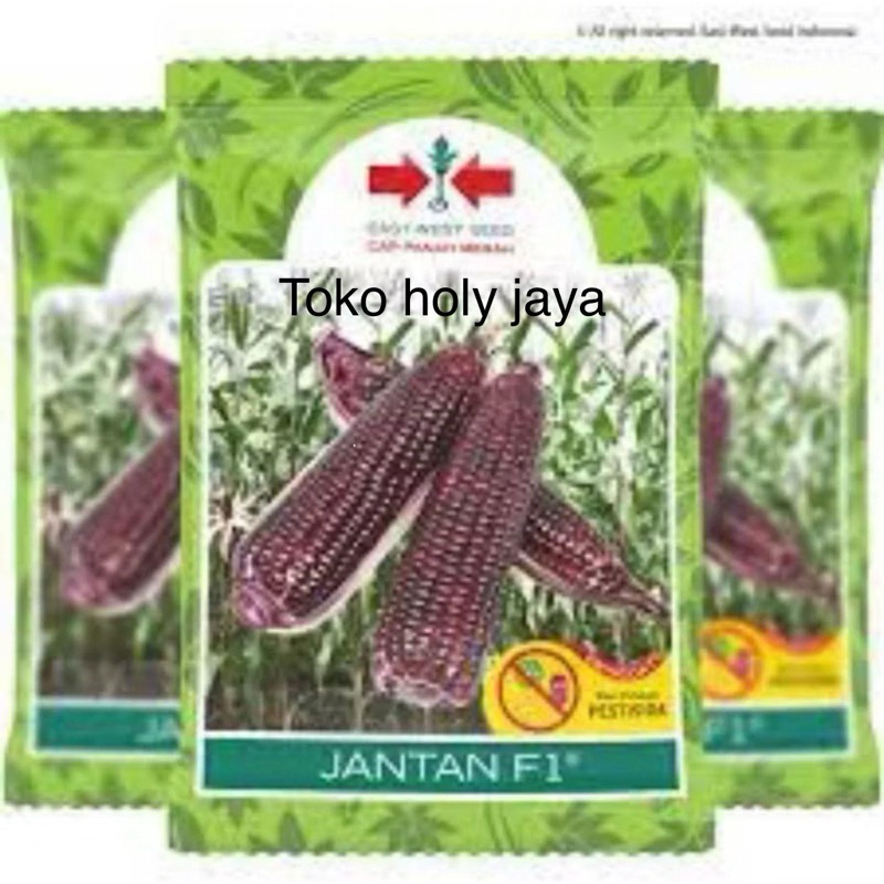 Jual Benih jagung JANTAN F1 250 gram benih jagung ungu jagung merah ...