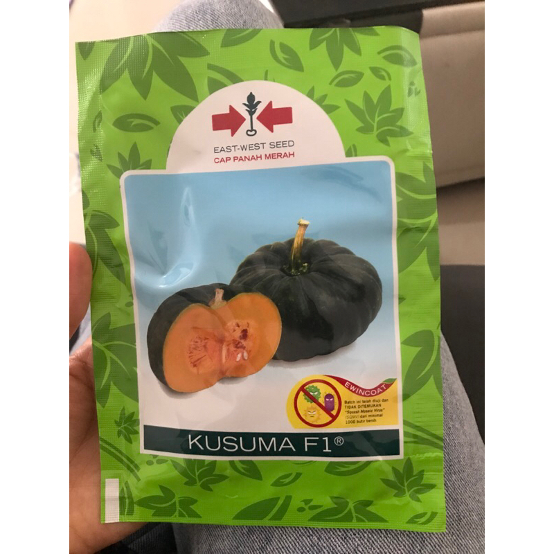 Jual Benih labu KUSUMA F1 95 butir labu kuning waluh kusuma panah merah ...
