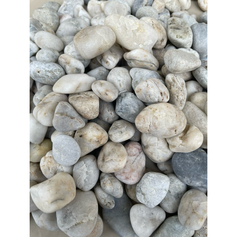 Jual BATU KORAL PUTIH GADING 10 KG / BATU TAMAN | Shopee Indonesia
