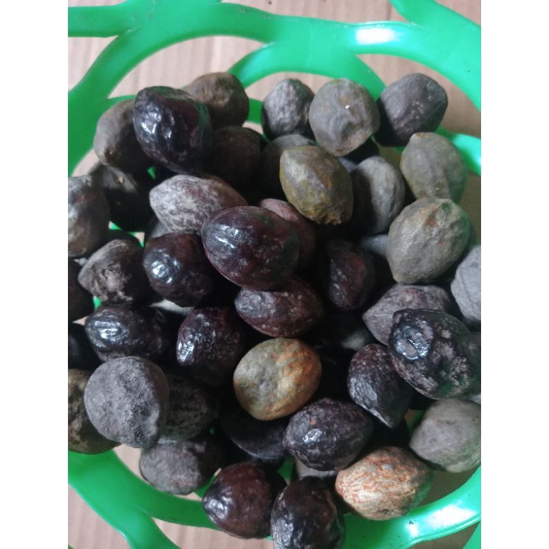 Jual Muncang aduan jawaan jatohan pohon jenis campuran Jayanti Jawa ...