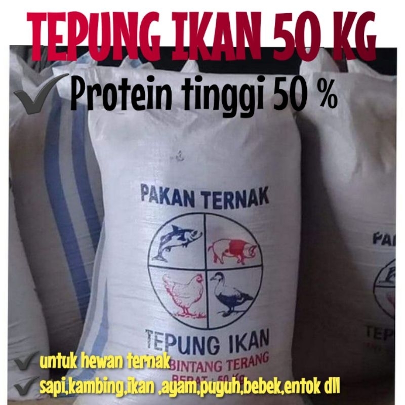 Jual TEPUNG IKAN PROTEIN TINGGI 50 KG | Shopee Indonesia