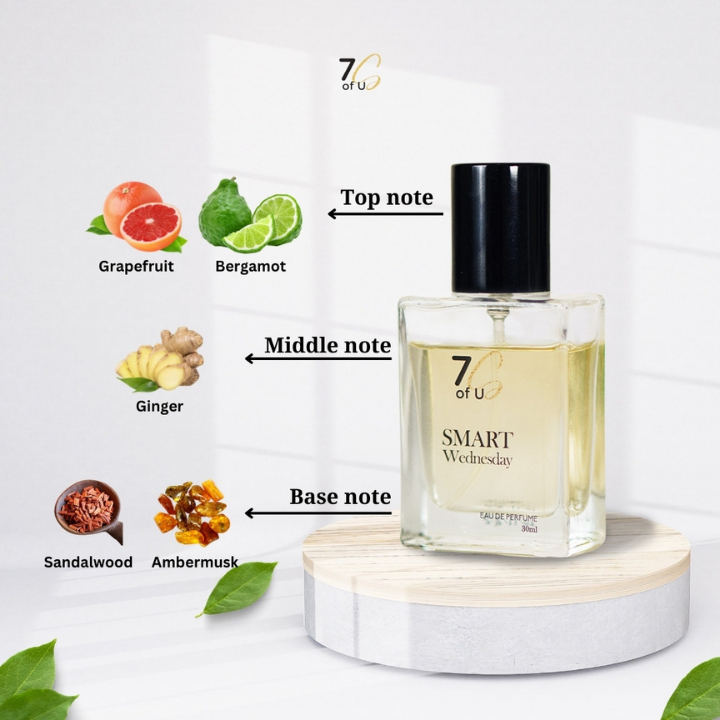 Jual [Buy2Get3] Parfum Pria Maskulin - 7 of US Smart Wednesday - Wangi ...