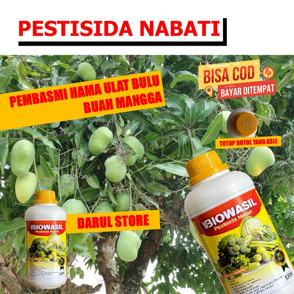 Jual BIOWASIL 500ml Pestisida Nabati Basmi Hama Ulat Bulu Buah Mangga ...