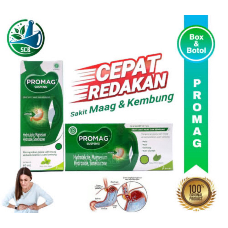 Jual Obat Maag Promag 3 Strip x 10 Tablet. 1 Pak (4 Box) | Shopee Indonesia