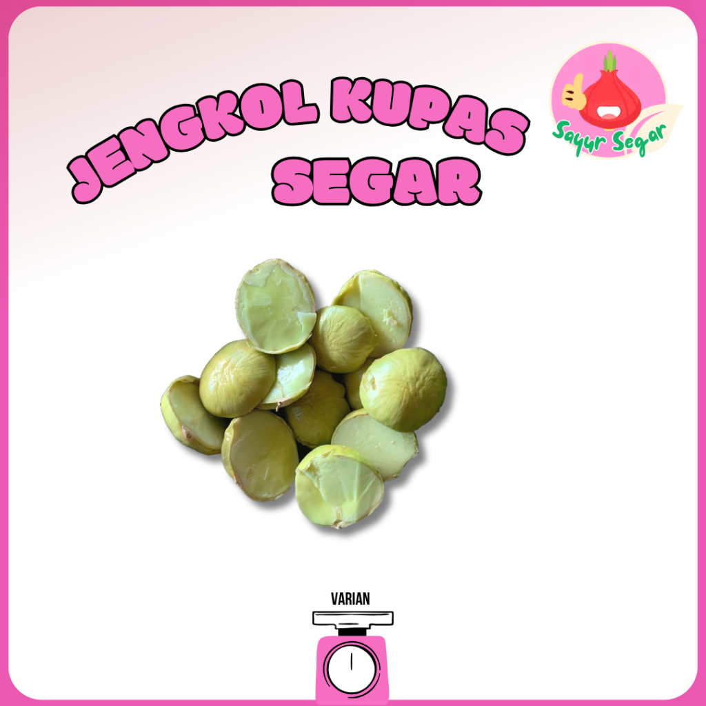 Jual Sayur Segar - Jengkol Kupas Segar / Peeled Jengkol | Shopee Indonesia